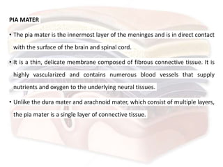 MENINGES OF THE BRAIN DETAIL ABOUT DURA MATER | PPTX