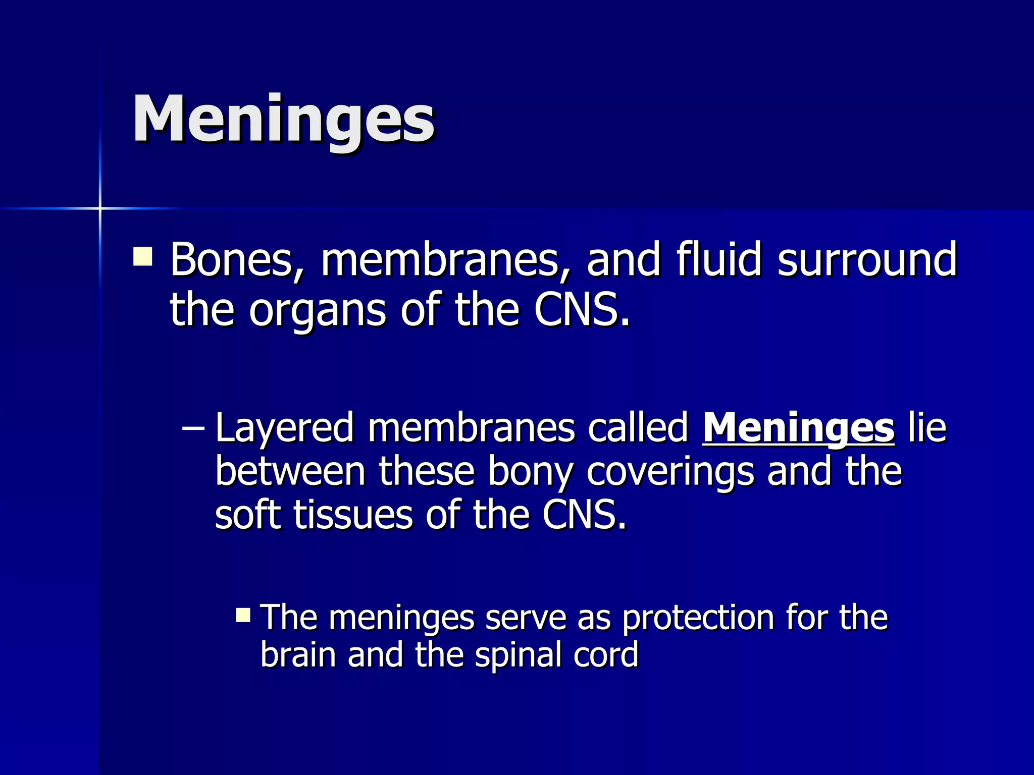 Meninges the_spinal_cord | PPT
