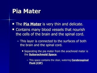 Meninges the_spinal_cord | PPT