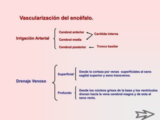 meninge y vascul.ppt