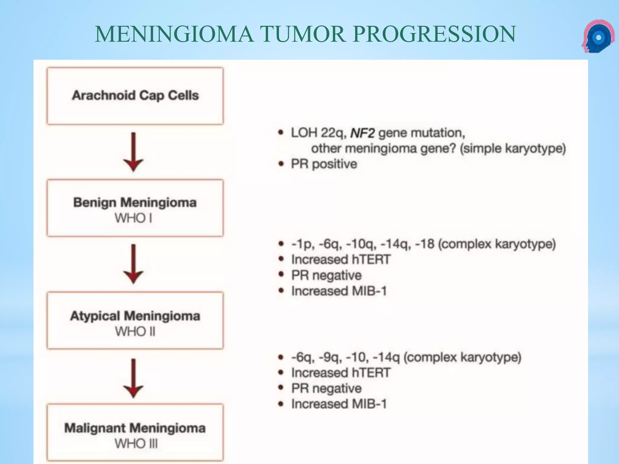 Meningioma of brain | PPTX