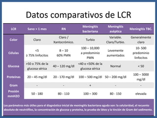 Meningitis pediatria | PPTX