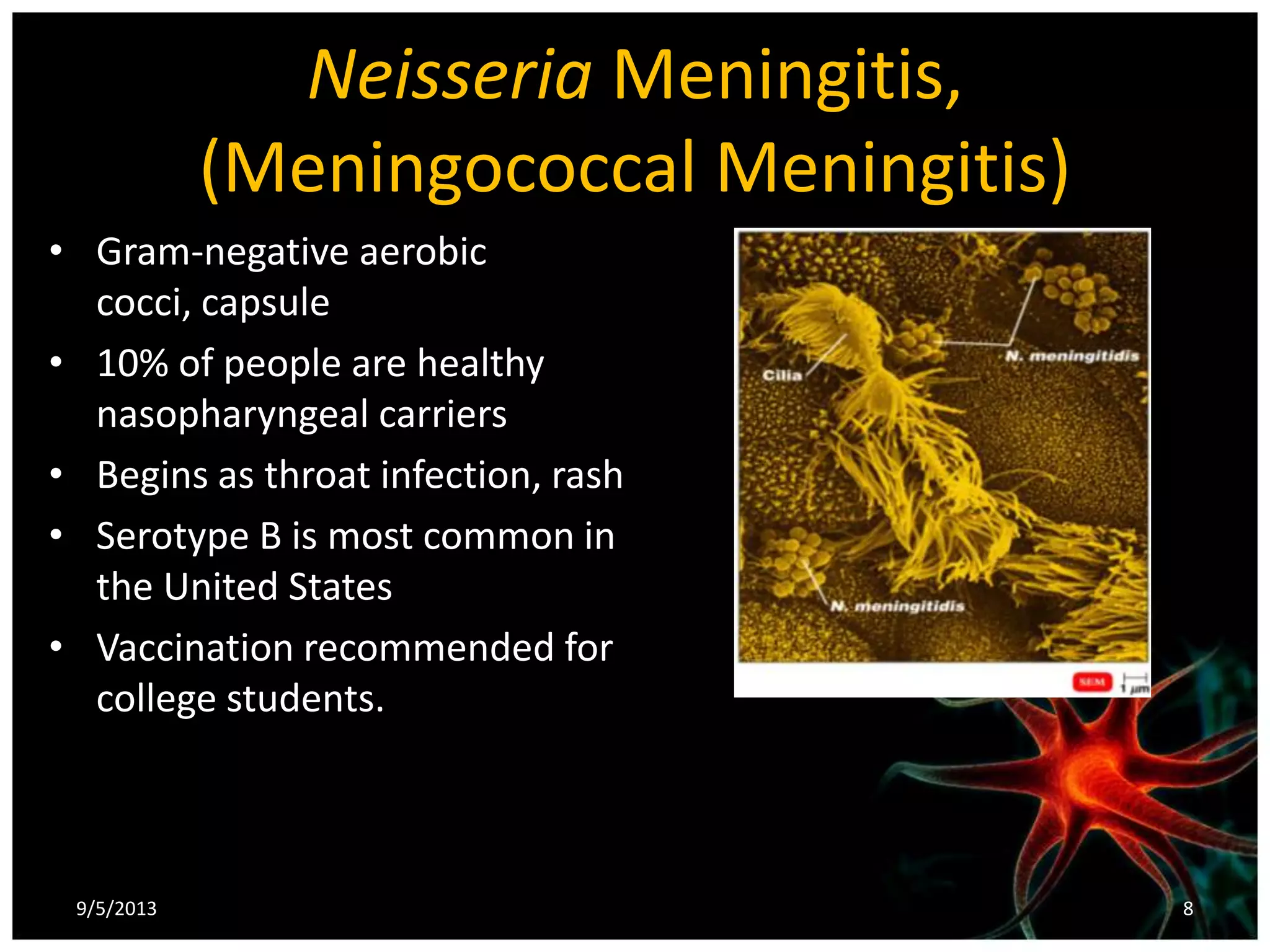 Meningitis | PPTX