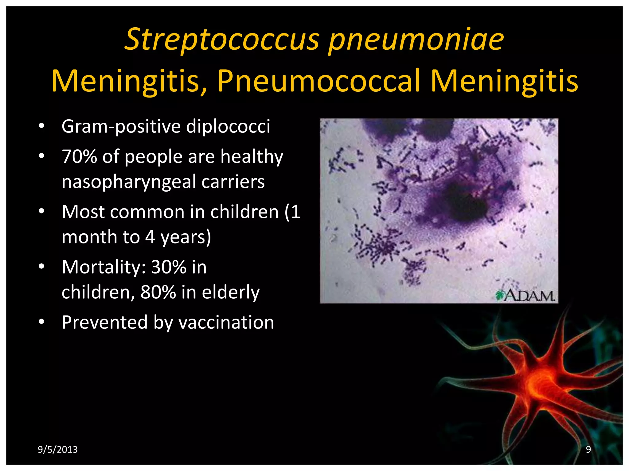 Meningitis | PPTX
