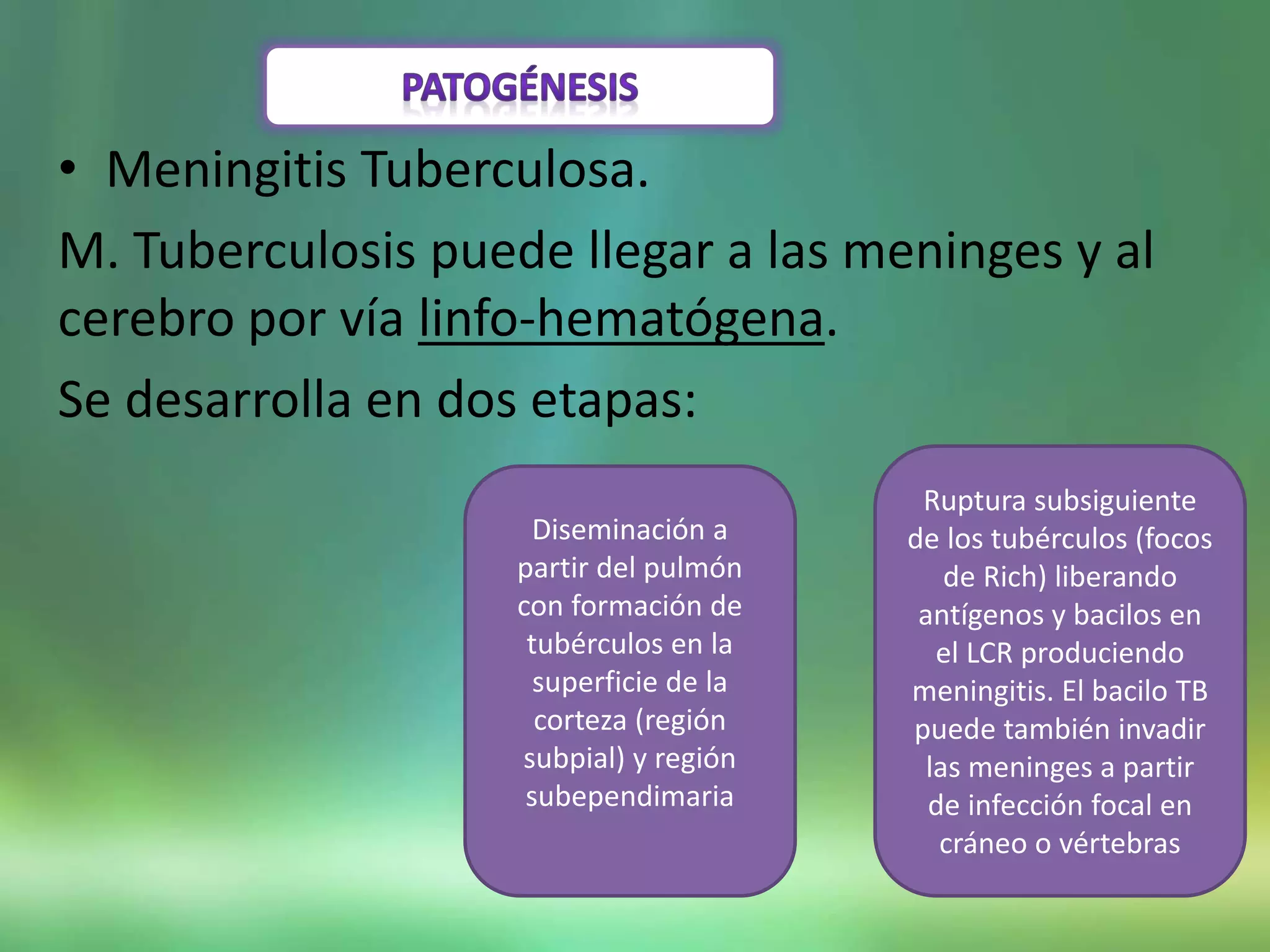 Meningitis | PPTX