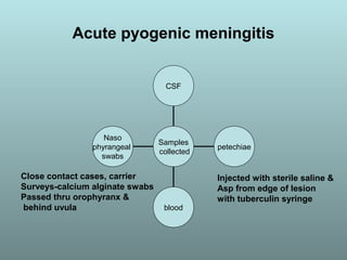 Meningitis | PPT