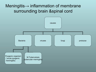Meningitis | PPT