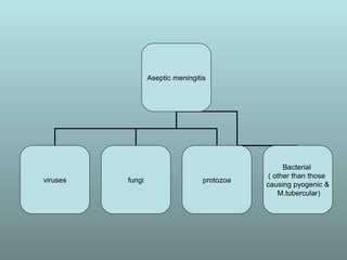 Meningitis | PPT