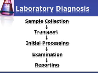 Lab diagnosis of Meningitis | PPTX