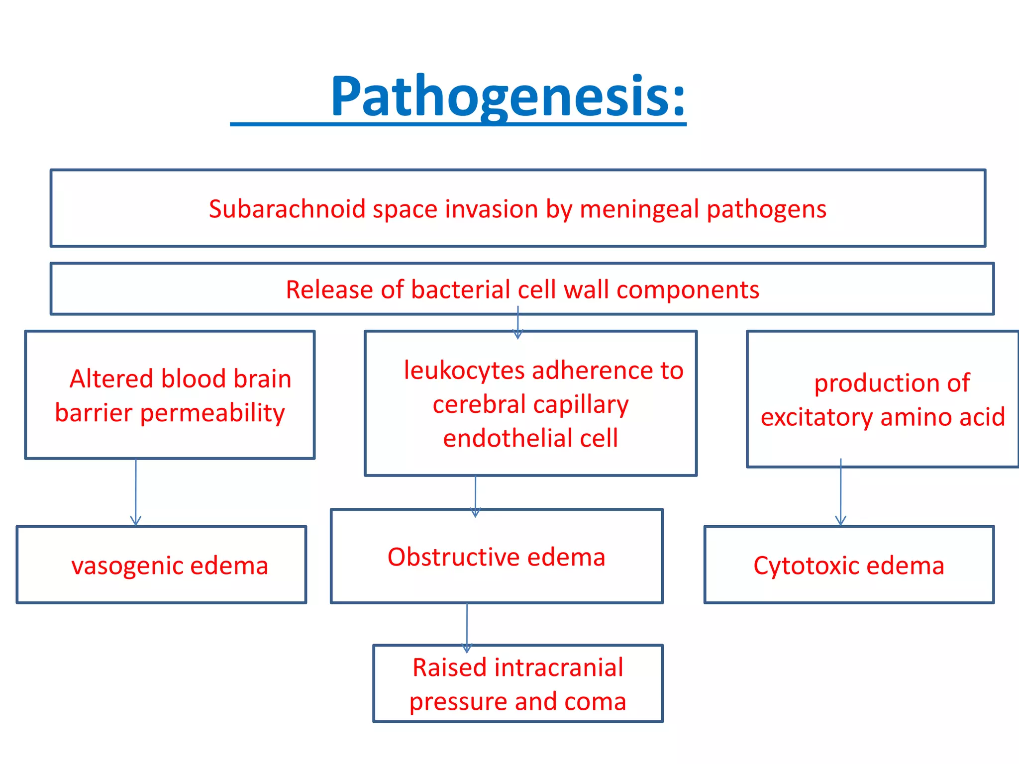 Meningitis | PPTX