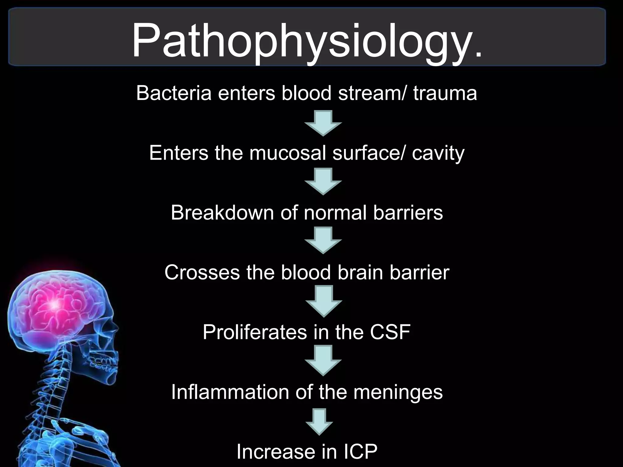 Meningitis | PPTX