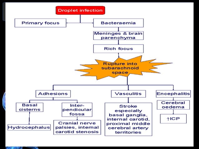 Meningitis | PPTX