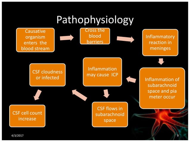 Meningitis.ppt | Infectious Diseases | Diseases and Conditions