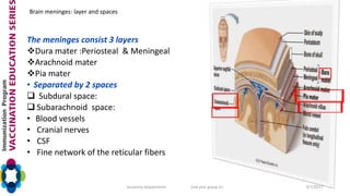 Meningitis | PPSX