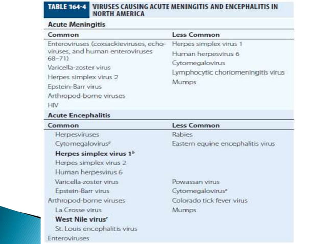 Meningitis | PPTX | Ear, Nose and Throat Conditions | Diseases and ...