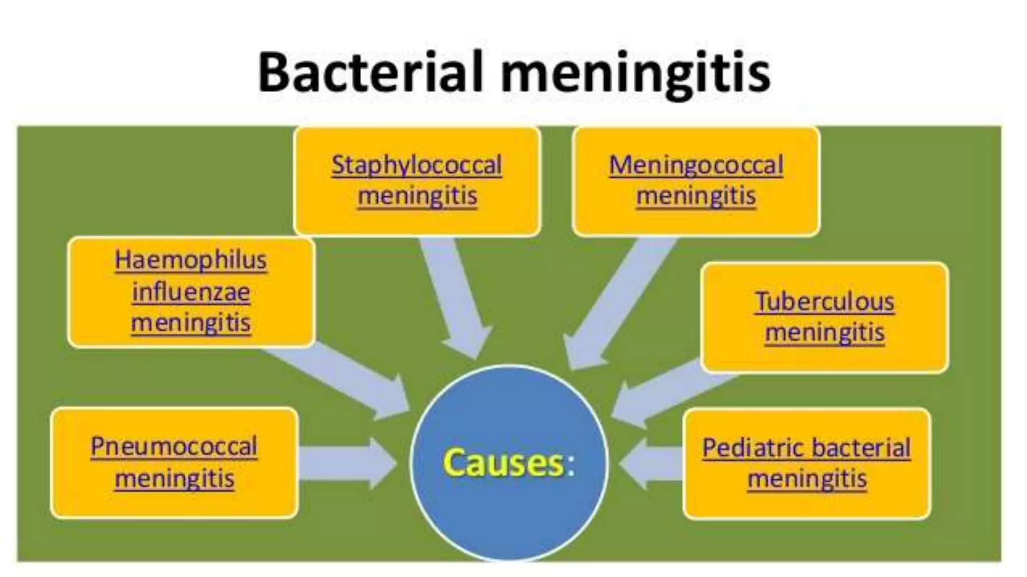 Meningitis | PPT