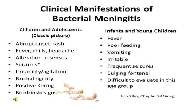 Meningitis | PPT