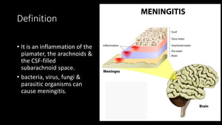 Meningitis | PPTX
