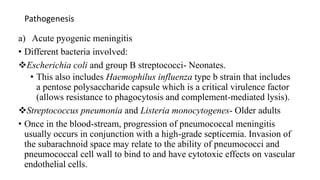 Meningitis | PPTX