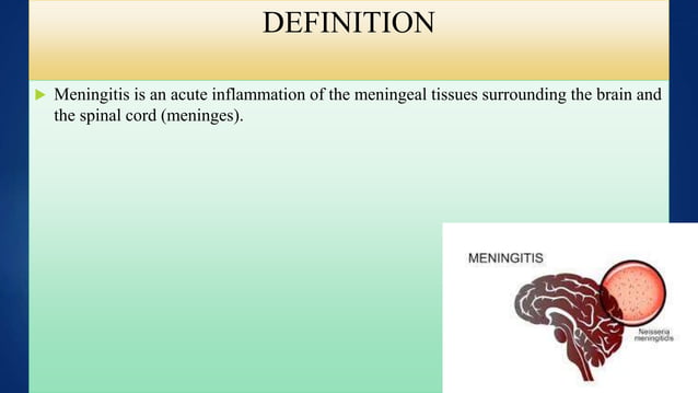 Meningitis | PPTX | Brain and Nervous System Disorders | Diseases and ...