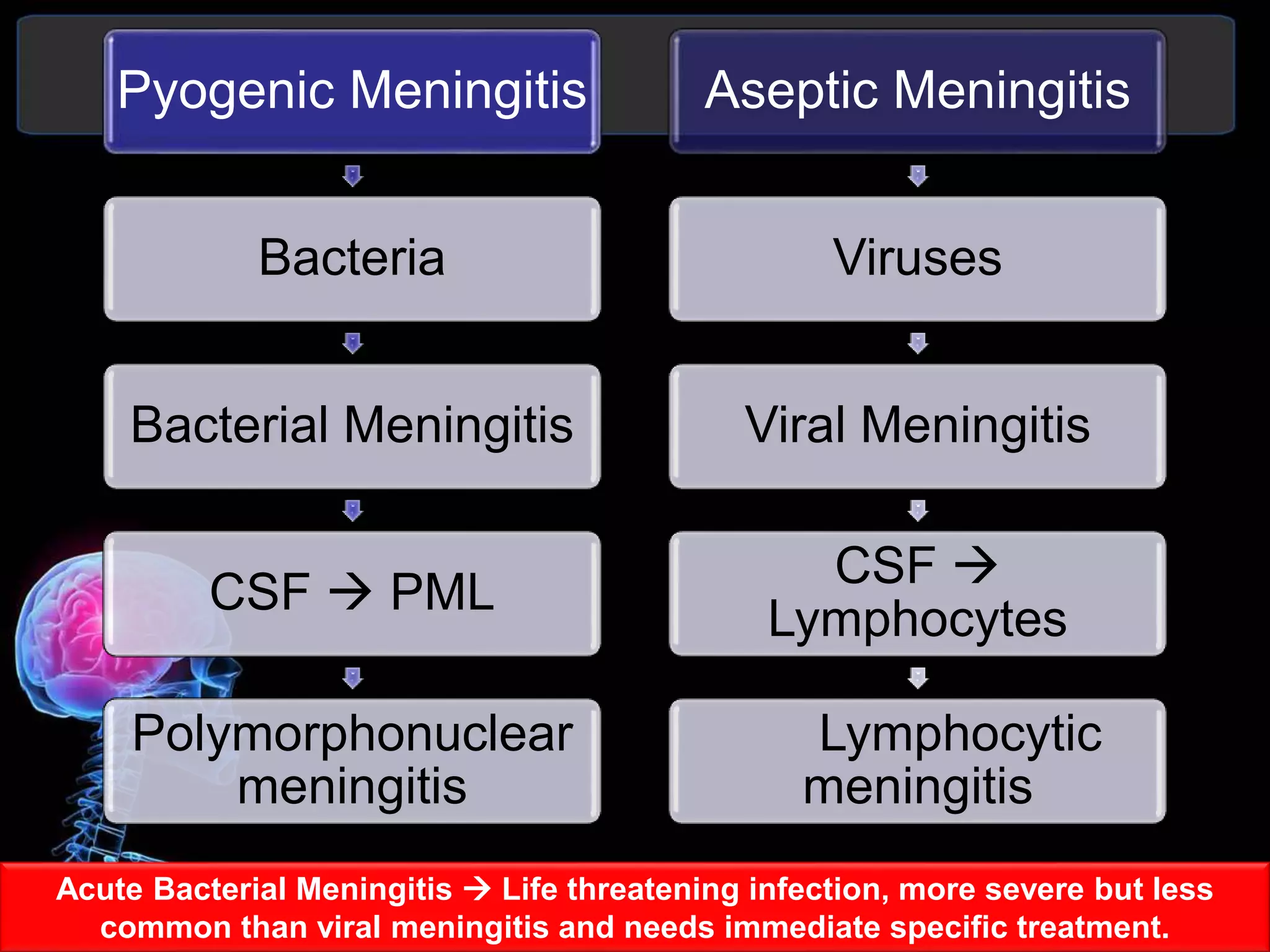 Meningitis by Dr. Rakesh Prasad Sah | PPT