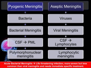Meningitis by Dr. Rakesh Prasad Sah | PPT | Infectious Diseases ...