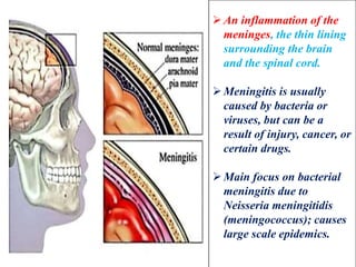 Meningitis | PPTX