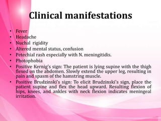 meningitis- medical surgicalnursing .pdf