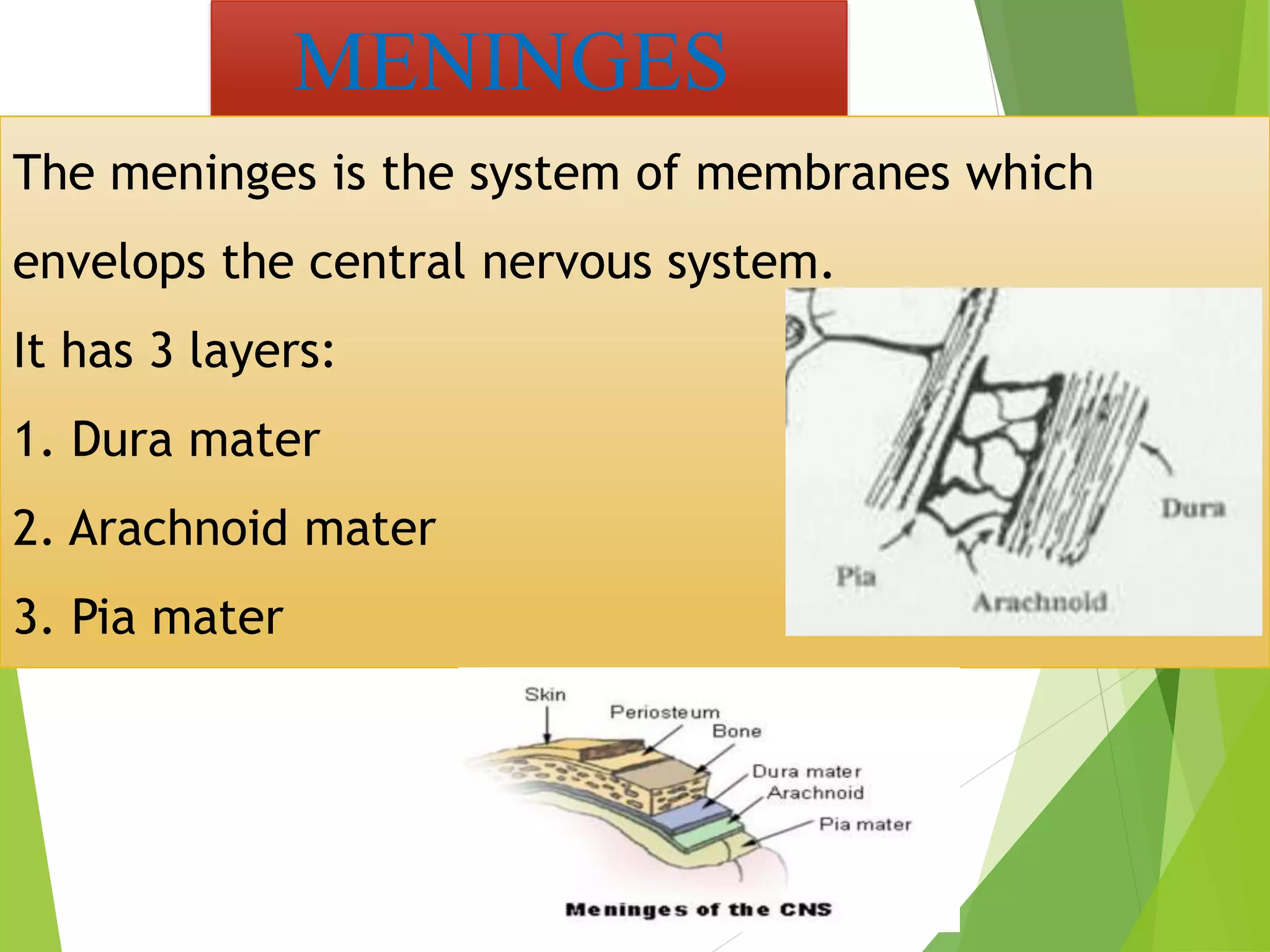 Meningitis in children | PPTX