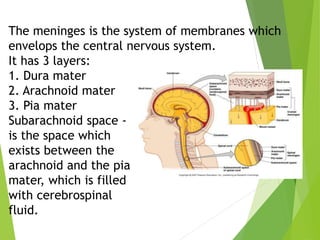 Meningitis | PPTX