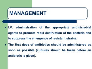 Meningitis includes baterial meningitis and their nursing management | PPTX