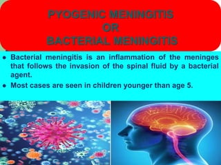 Meningitis includes baterial meningitis and their nursing management ...