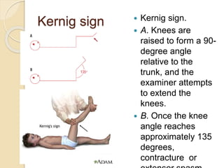 Meningitis | PPTX