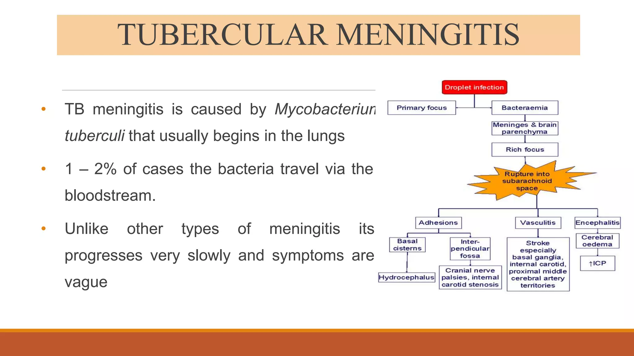 Meningitis | PPTX