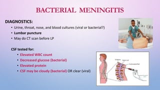 Meningitis | PPTX
