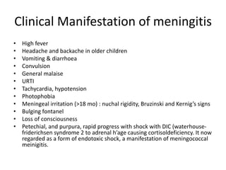 Meningitis | PPTX