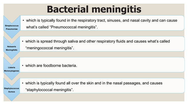MENINGITIS.pdf