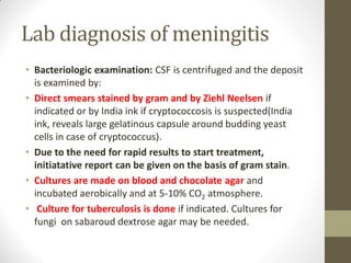 meningitis.pdf