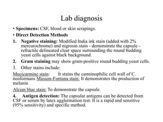 Meningitis | PPTX