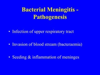 Meningitis.ppt