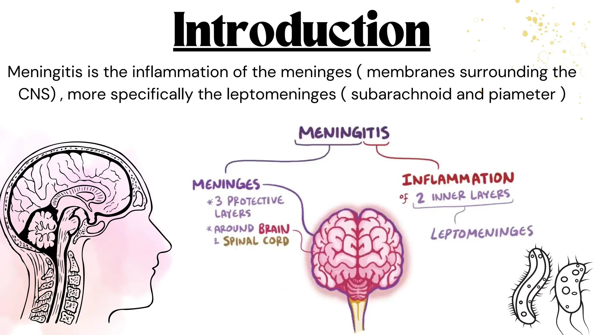 Differential diagnosis of types of Meningitis | PDF
