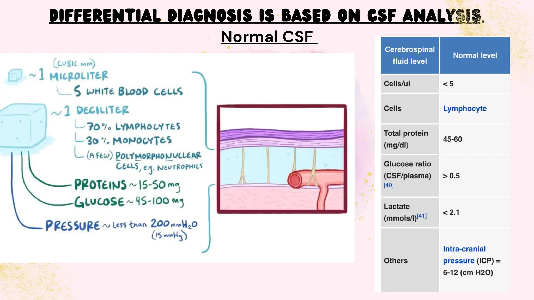 Differential diagnosis of types of Meningitis | PDF