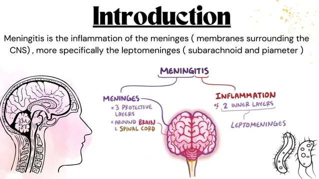 Differential diagnosis of types of Meningitis | PDF | Infectious ...