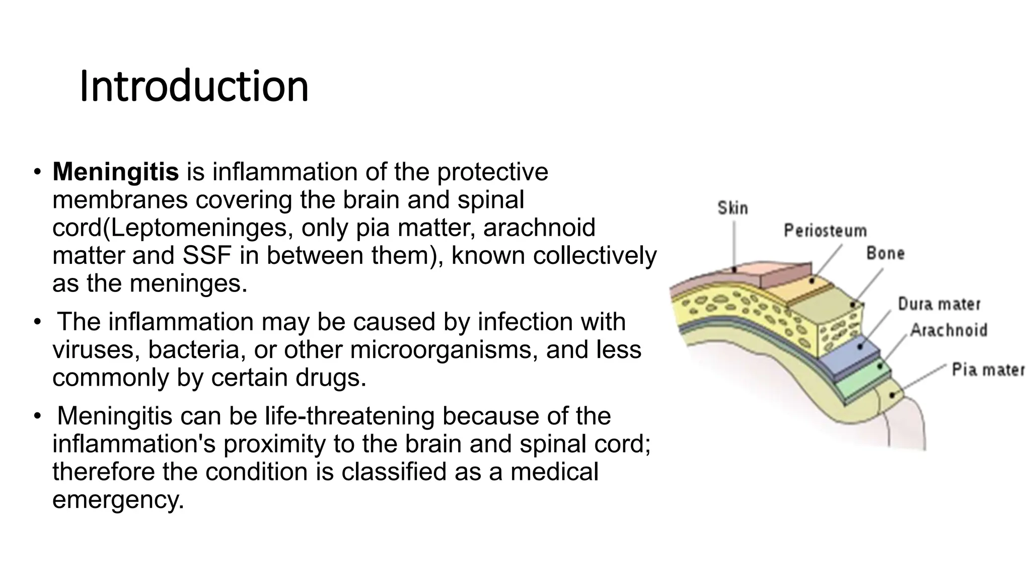 Introduction to Meningitis for Medical Students | PPTX