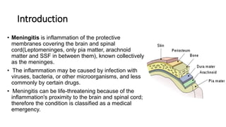 Introduction to Meningitis for Medical Students | PPTX