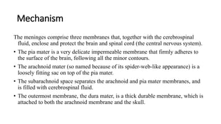 Introduction to Meningitis for Medical Students | PPTX