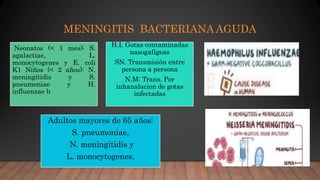 MENINGITIS AGUDA, CRONICA, BACTERIANA, PARASITARIA, TUBERCULOSA | PPTX