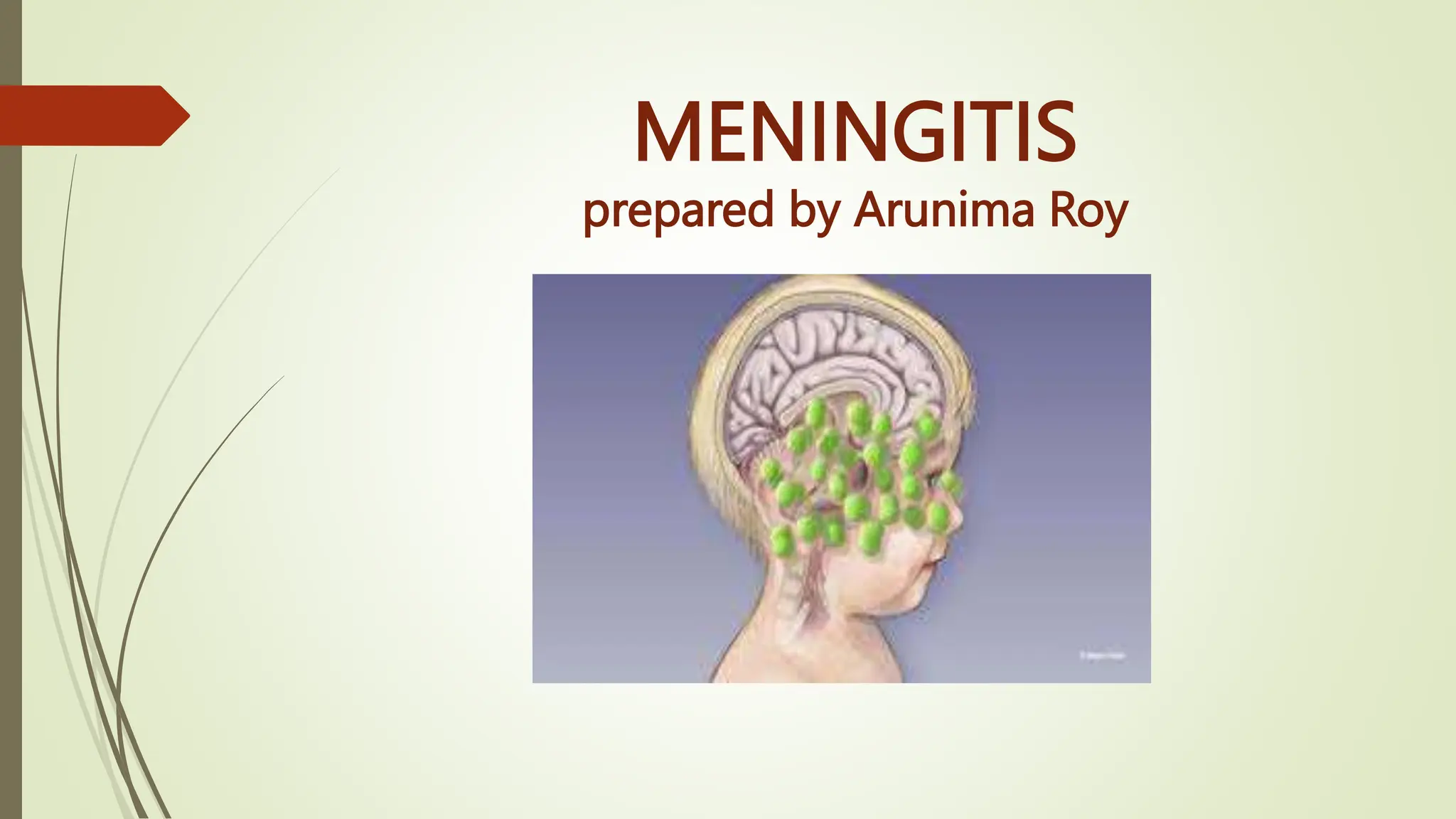 Powerpoint Presentation on Meningitis (Nursing) | PPTX
