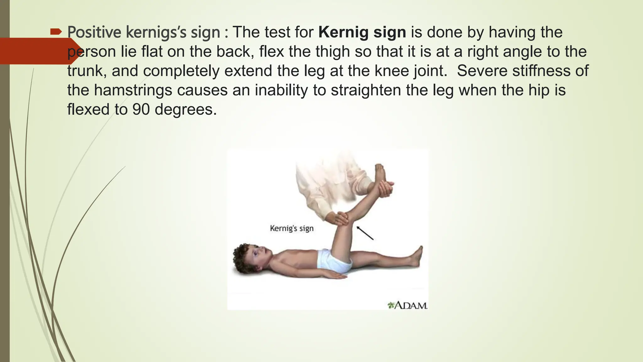 Powerpoint Presentation on Meningitis (Nursing) | PPTX
