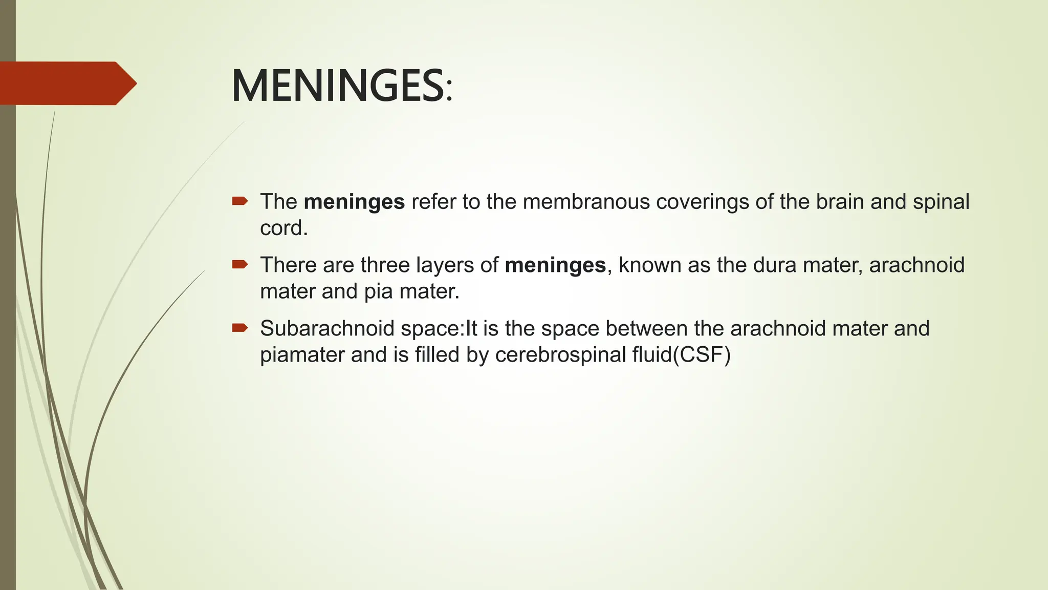 Powerpoint Presentation on Meningitis (Nursing) | PPTX